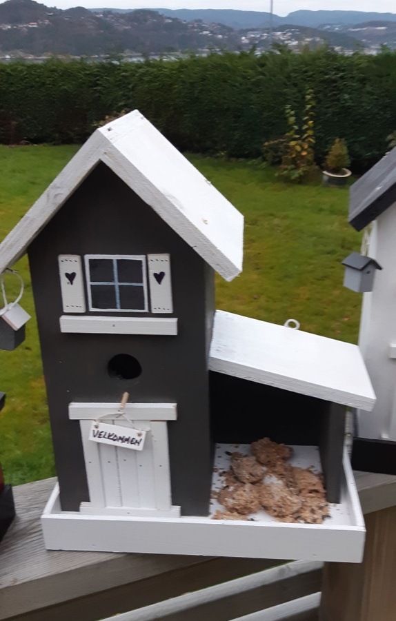 Fuglehus mater - Epla