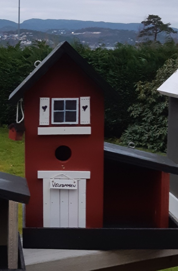 Fuglehus mater - Epla