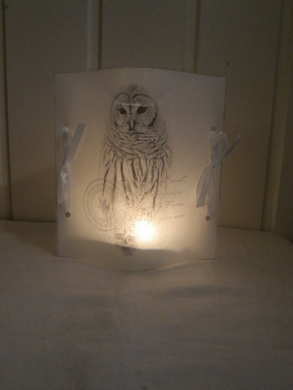 Telys skjerm - Hvit ugle - Epla