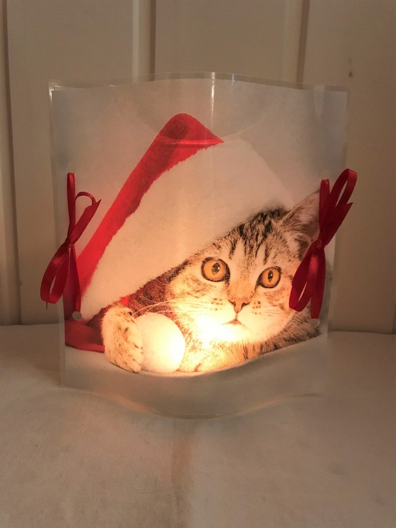 Telys skjerm - katt - Epla