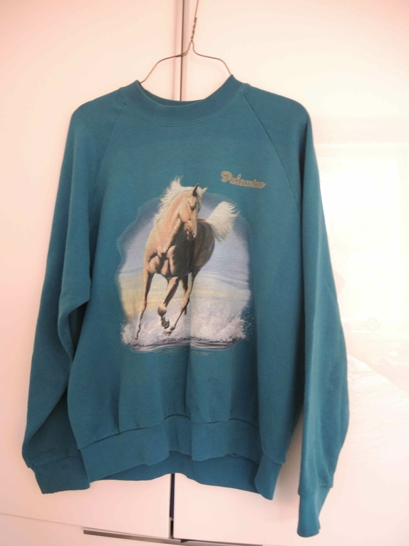 Vintage collegegenser - Epla