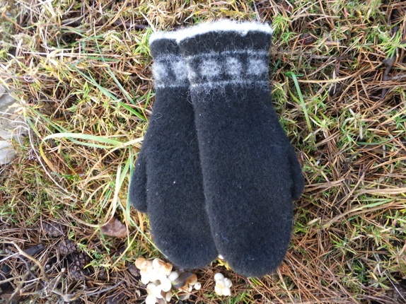 Tovede votter - Epla