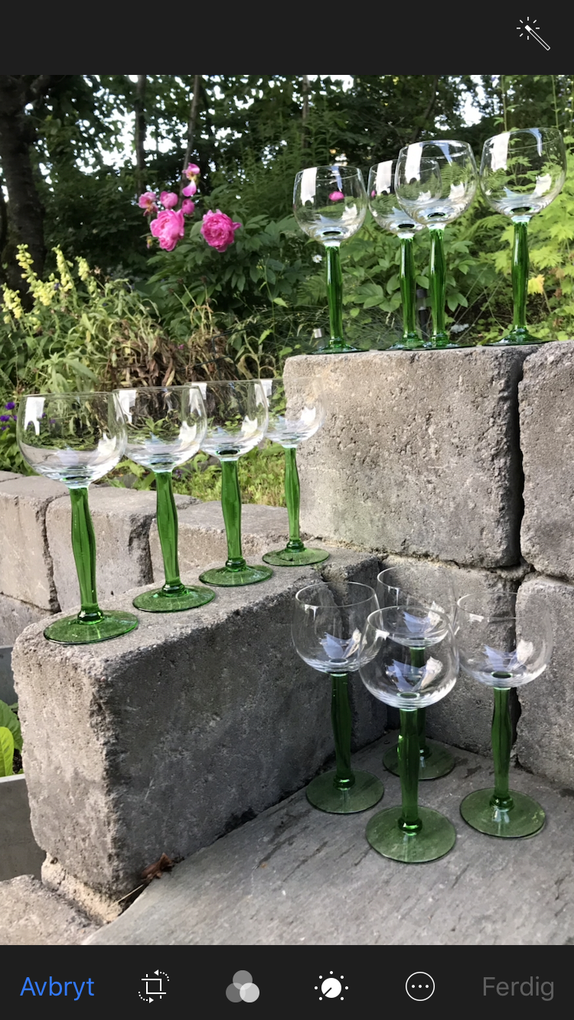 12 vintage vinglass med grønn stett - Epla