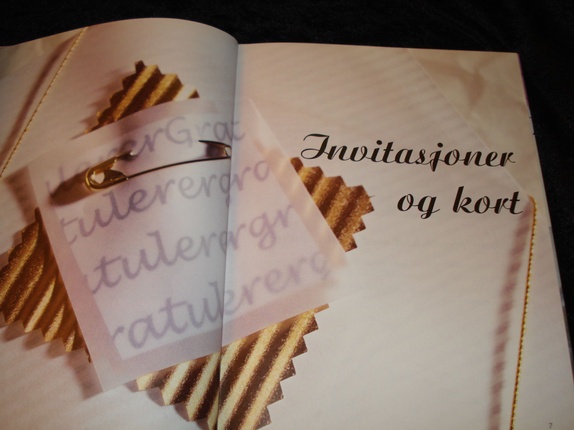 Bok: Kort & Godt av Eline Vogt - Epla