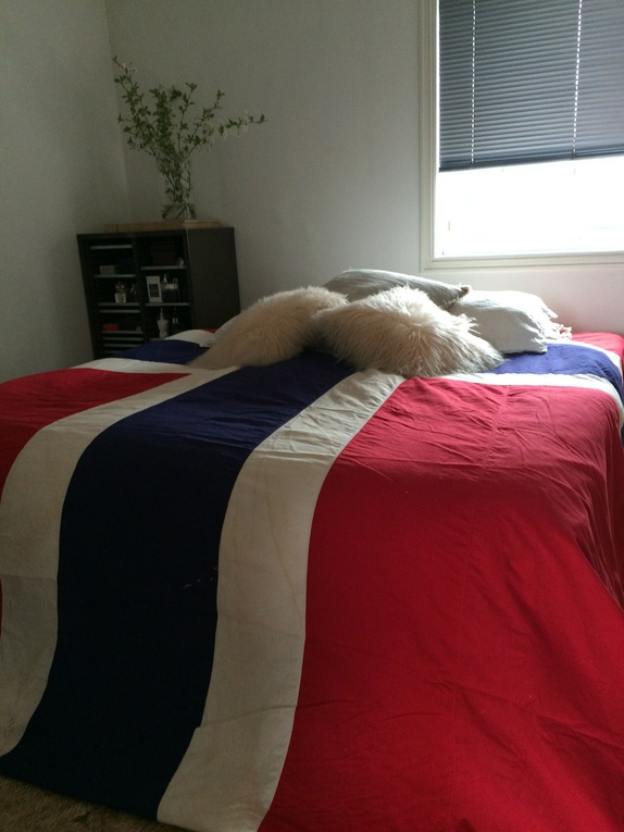 "RødtHvittBlått" flagg - Epla