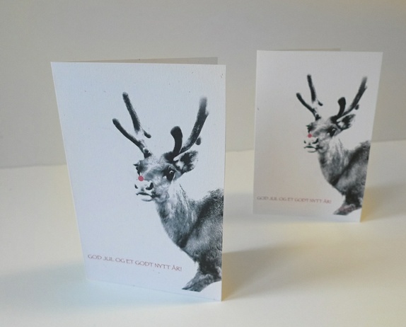Julekort Rudolf Reinsdyr Doble Kort 2 stk :) - Epla