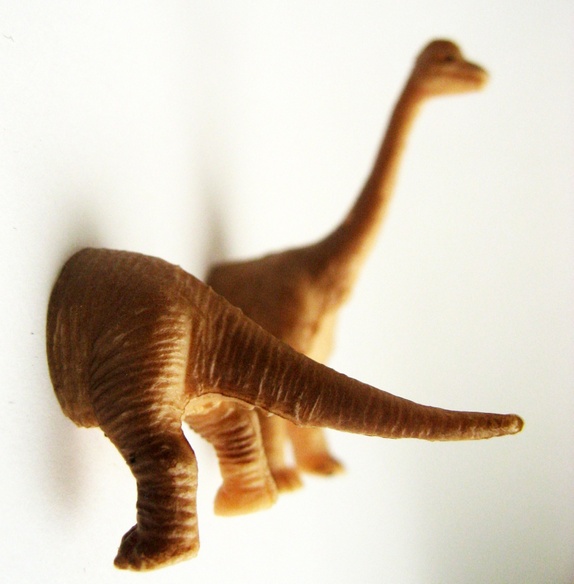To små magneter - Dinosaur. Brachiosaurus. - Epla
