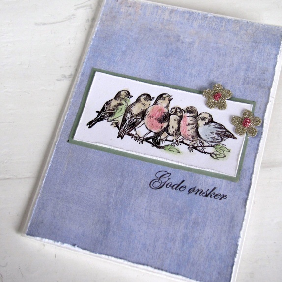 Sangfugler - kort - Epla