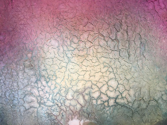 «Colourful» - maleri - Epla