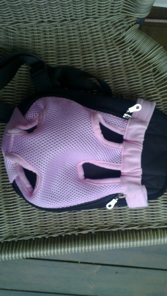 Bæresele til liten hund. - Epla