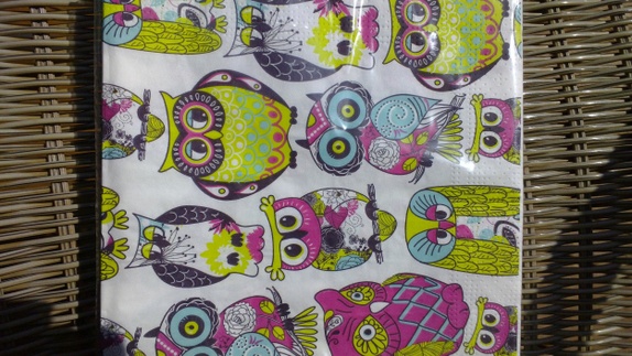 Servietter 20 pk med bilde av ugler - Epla