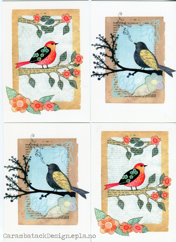 Sett med 4 Postkort - Fugler - Epla