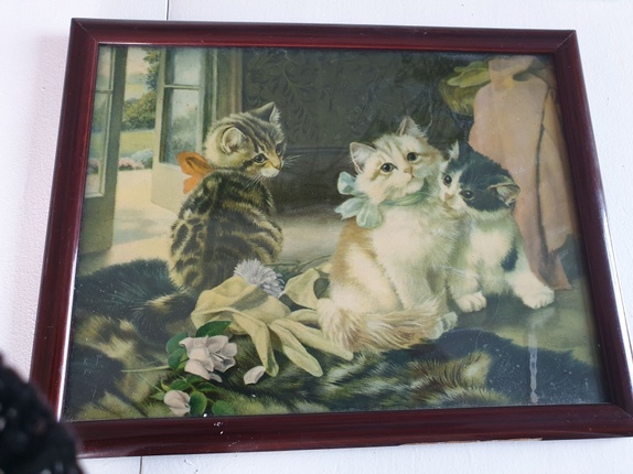 gammelt vakkert bilde - Epla