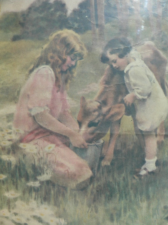 vakkert antikt bilde av barn m.kalv - Epla