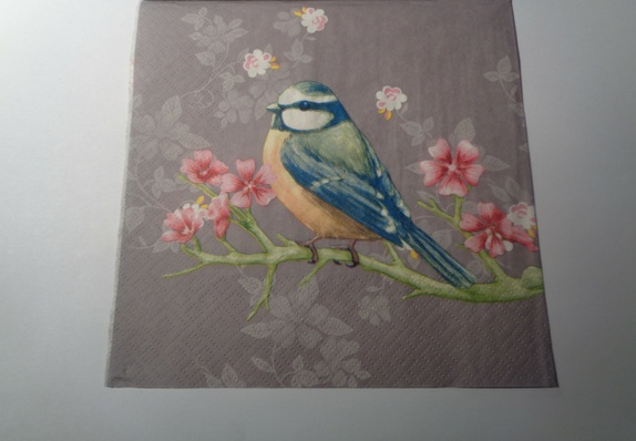 Fugler , Servietter - Epla