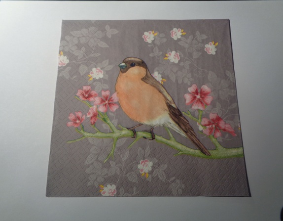 Fugler , Servietter - Epla