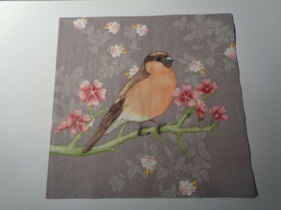 Fugler , Servietter - Epla