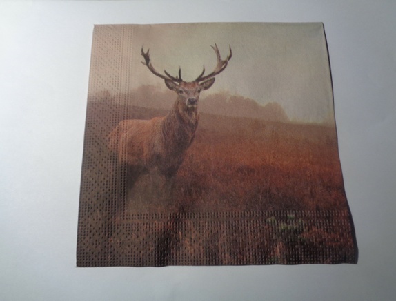 Hjort, Servietter - Epla